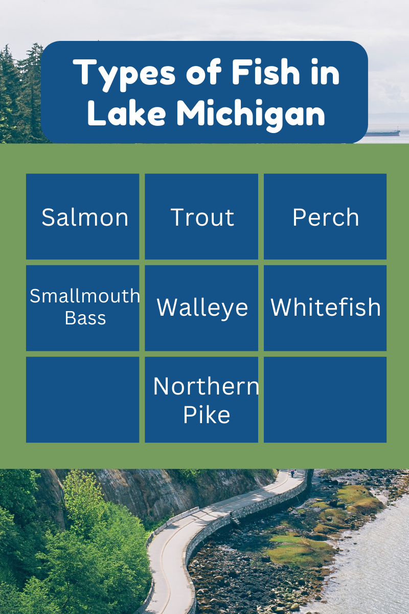 A Guide to Fishing Trips in Chicago IL (2024) - Little Foodie Chicago